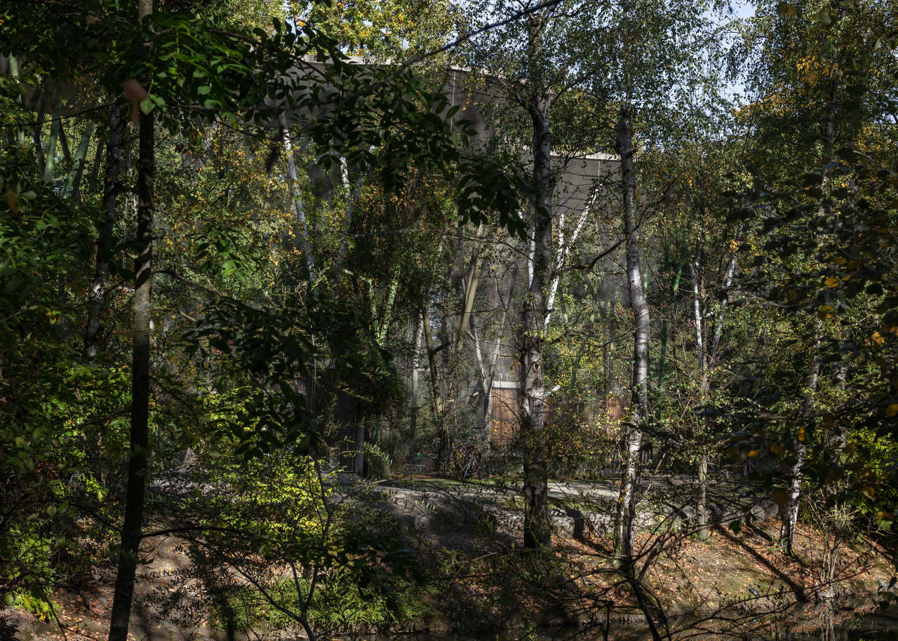 BUREAU — Bird Shelter