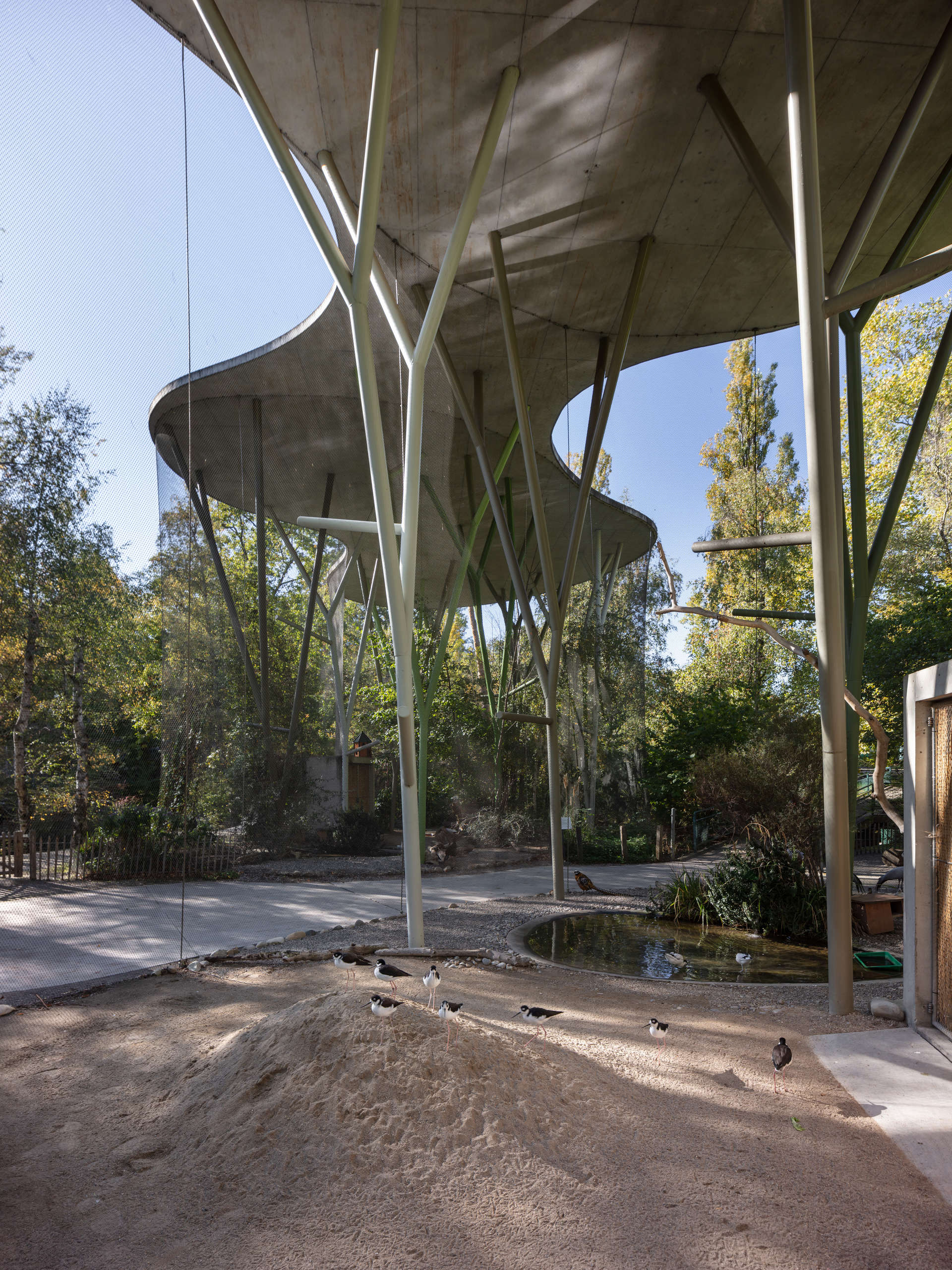 BUREAU — Bird Shelter