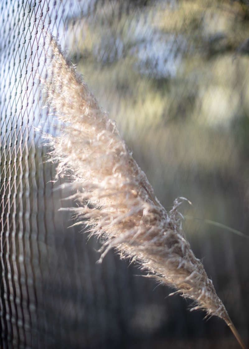 BUREAU — Bird Shelter