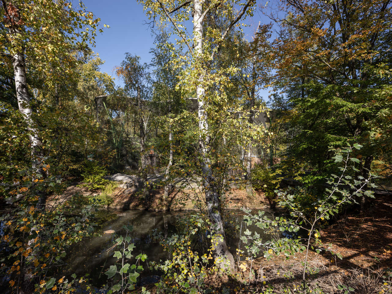 BUREAU — Bird Shelter